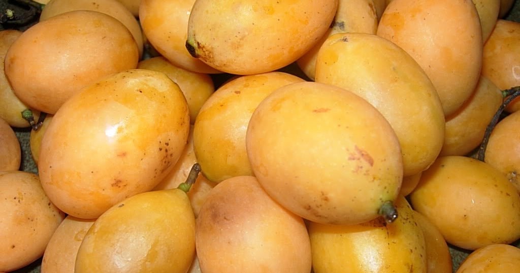 Bicara Mentari: Biji buah star berwarna kundang