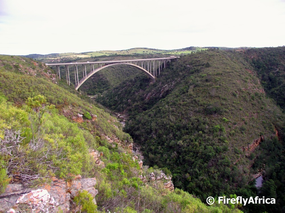 Port Elizabeth Daily Photo: Van Stadens Bridge