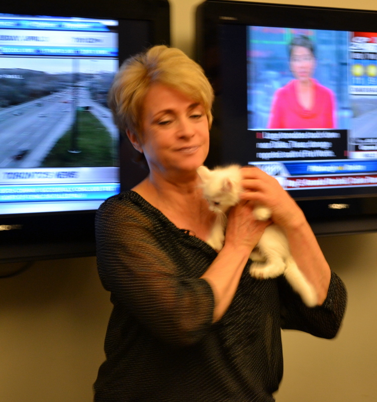 Cynful Musings: Behind the Scenes