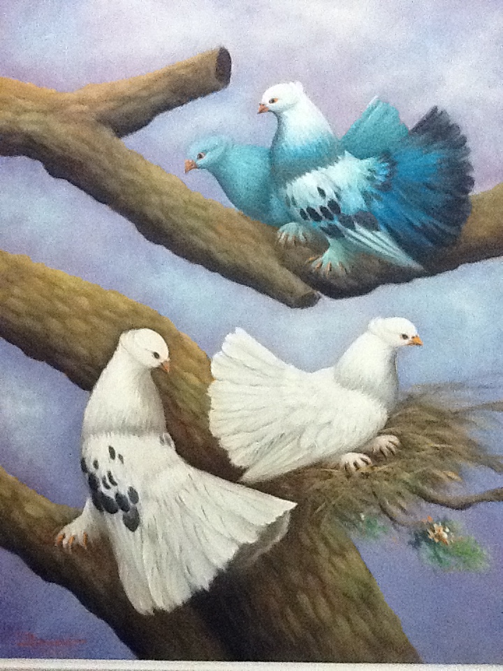 Wustho Art Gallery: Lukisan Merpati ( Pigeon ) High Quality
