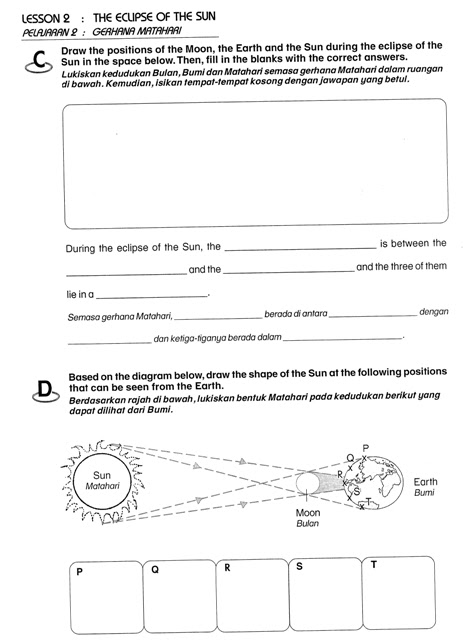 Science Year 6: Exercises