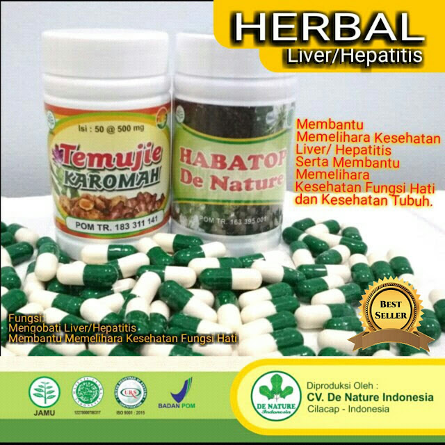 Daftar Merk Obat Anpuh untuk penyakit liver atau hepatitis paling ampuh ...