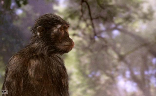 Dunia Hewan Purba: Australopithecus