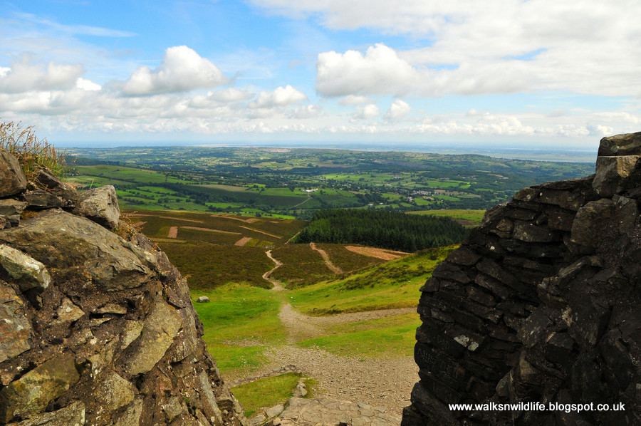 Gary Jones Wildlife Photography: Moel Famau to Moel Arthur