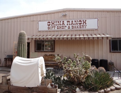 Walkabout With Wheels Blog: China Ranch Date Farm in Tecopa, California