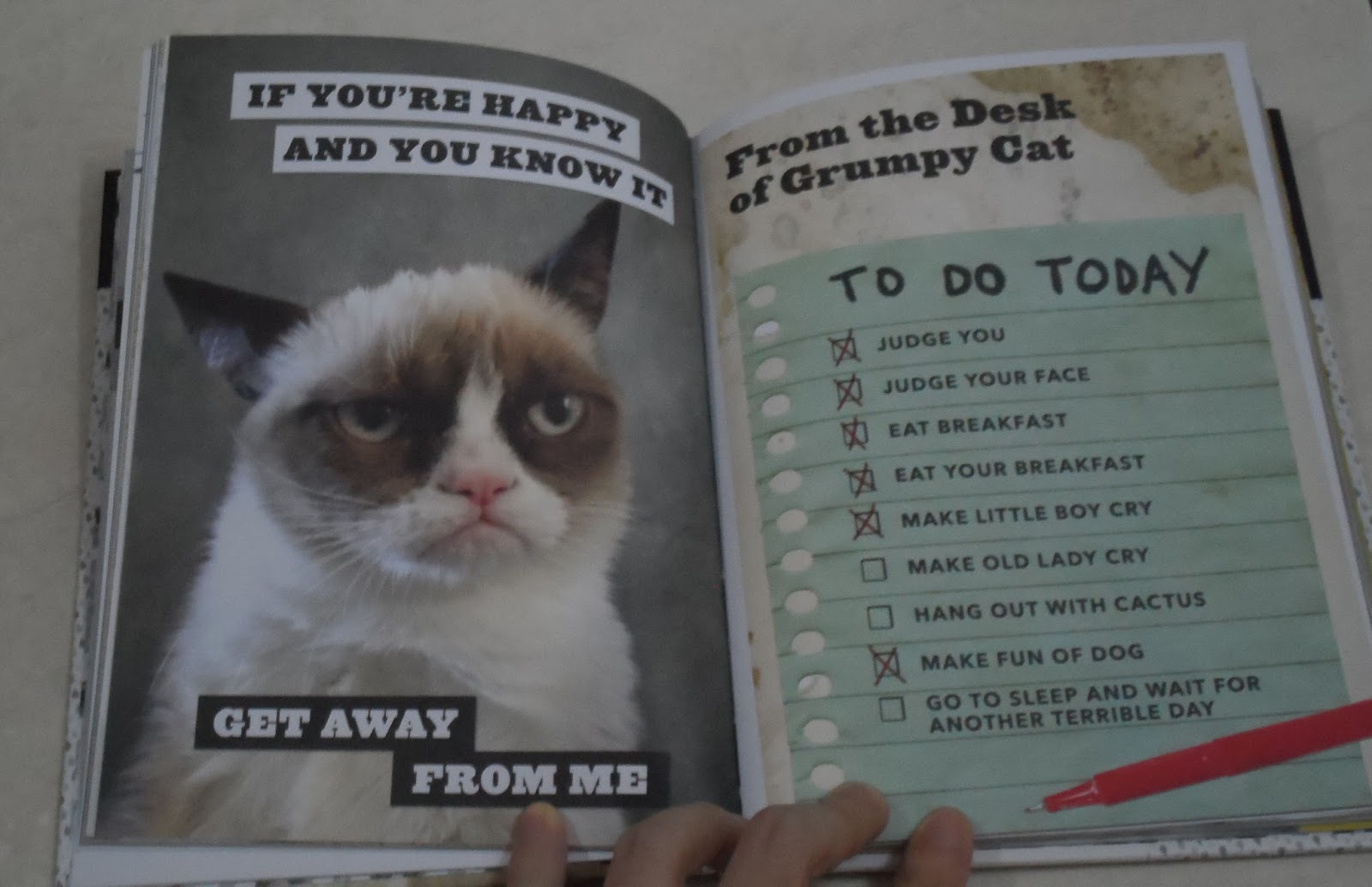Interesting Corner of Me : Grumpy Cat: A Grumpy Book