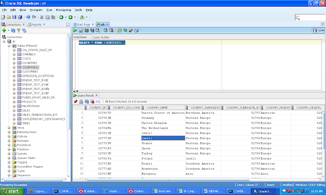 Diksha Sea [obiee 11g] Hierarchy