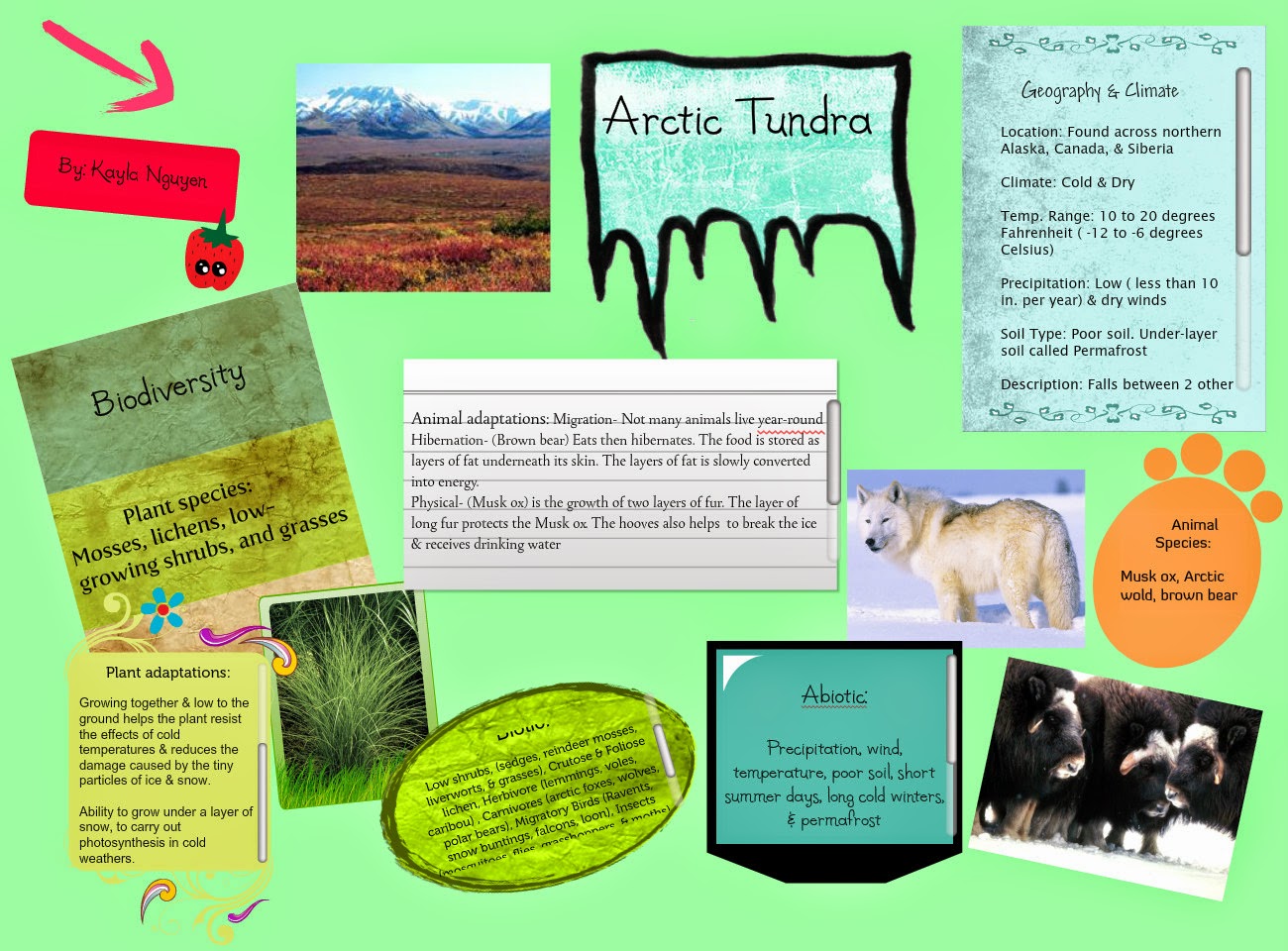 Biomes Exploration Project : Apply what you know and show off!