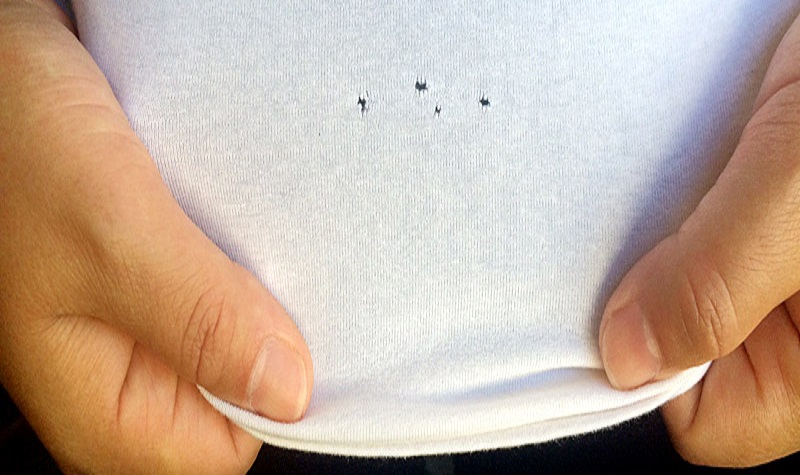 Aprenda Como Combater as Traças