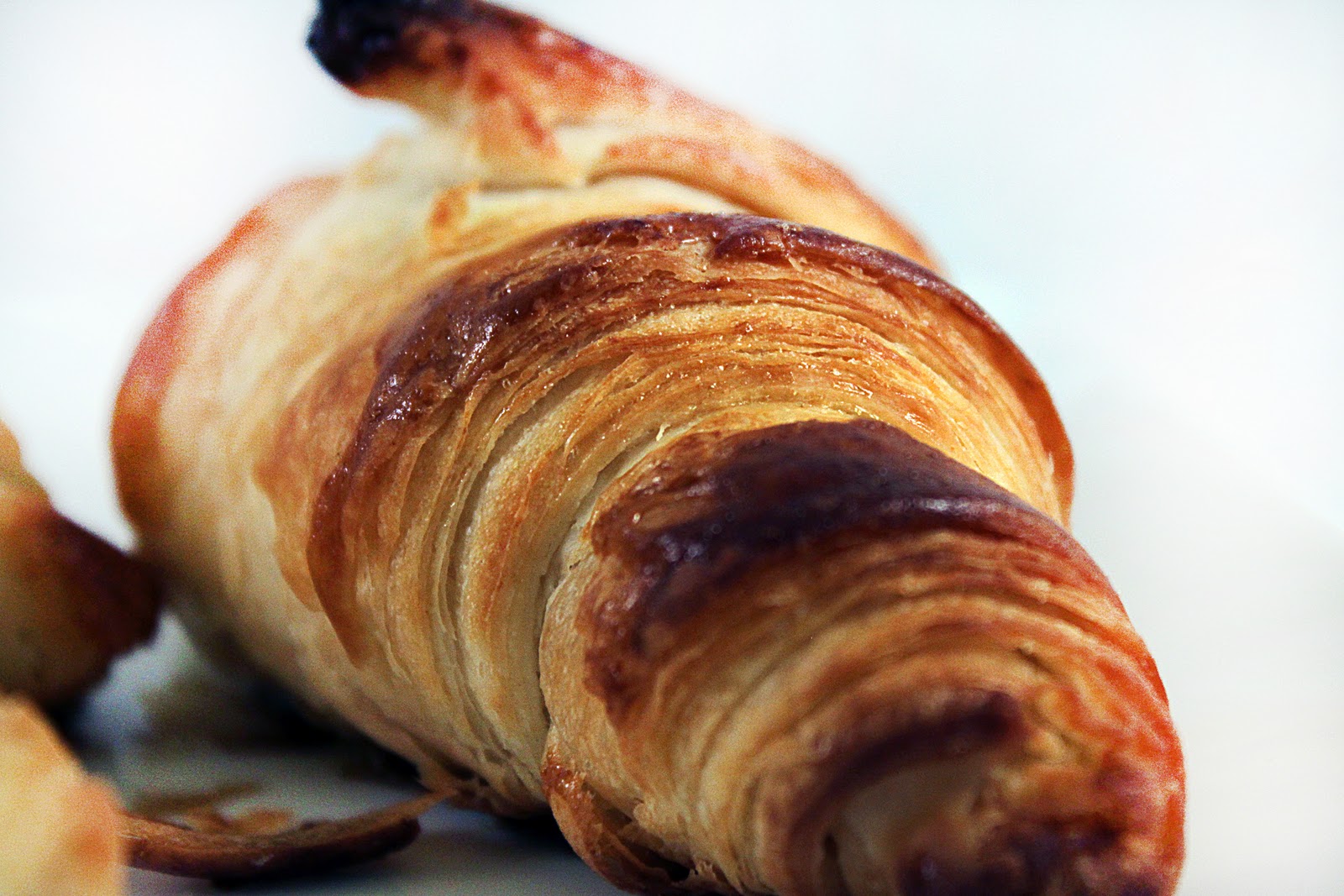 Ingredients of a 20something: Daring Bakers' challenge: Croissants