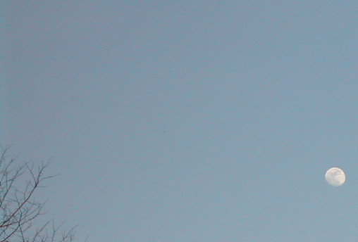 The Paranormal Corner: The Blue Light Cemetery - Spring, Texas