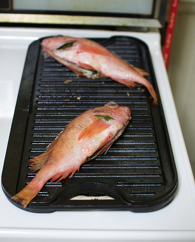 Delicious Fish Recipes: Bake Ocean Perch Tonight