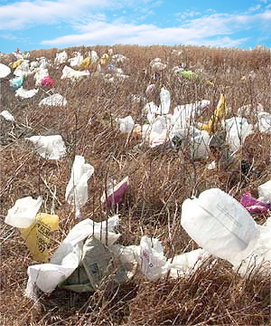 Better and better at English: How to get rid of plastic bags