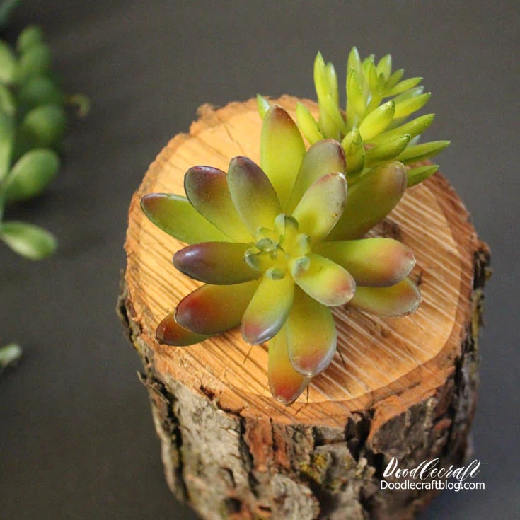 Succulent Log Planter!