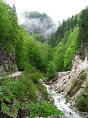 Imber Travel: Carpatii Occidentali