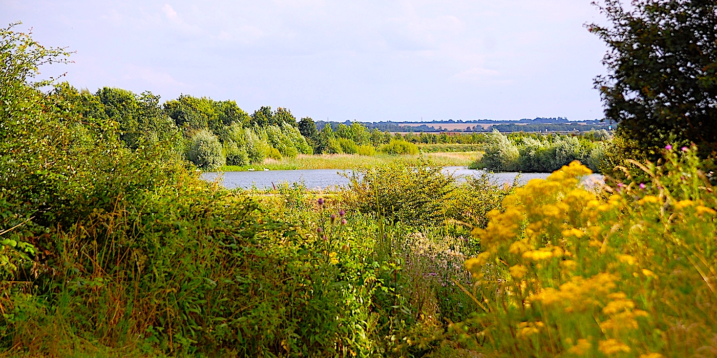 Cambridgeshire walks: Fenstanton to Fen Drayton Lakes RSPB Nature Reserve
