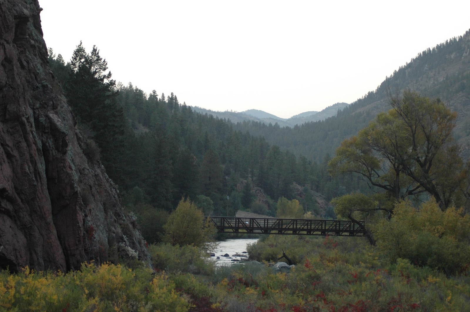 Explore Colorado: Bird Watching ~ Mueller State Park ~ Fall Color ...