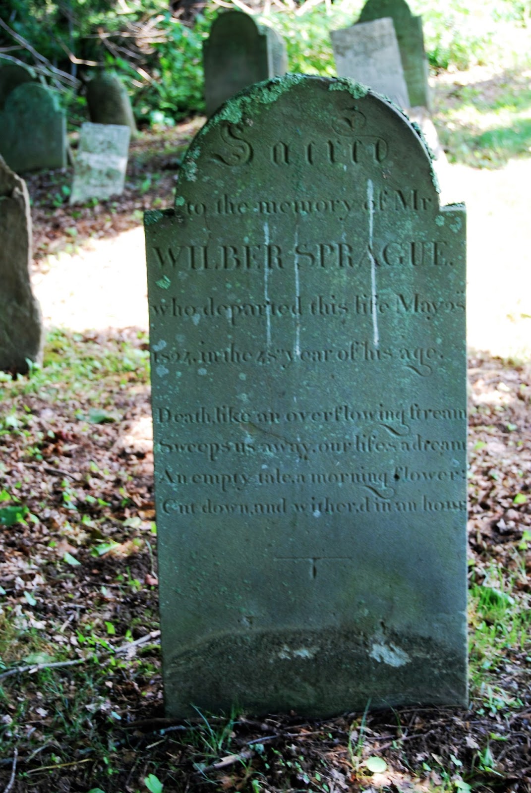 Goldsberry Pickin's: The Fascinating Saga of the Sprague Family