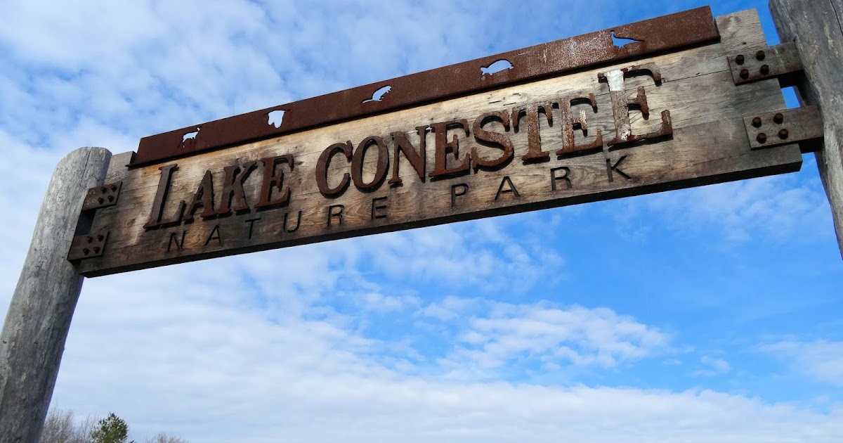 Femme au foyer: Your guide to Lake Conestee Nature Preserve