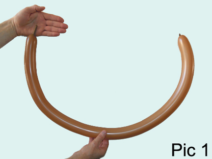 CLASSICAL: Balloon broom