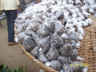 Welcome to gboyetade's world: THE WONDERFUL NATURE OF IRU DELICACY AND ...