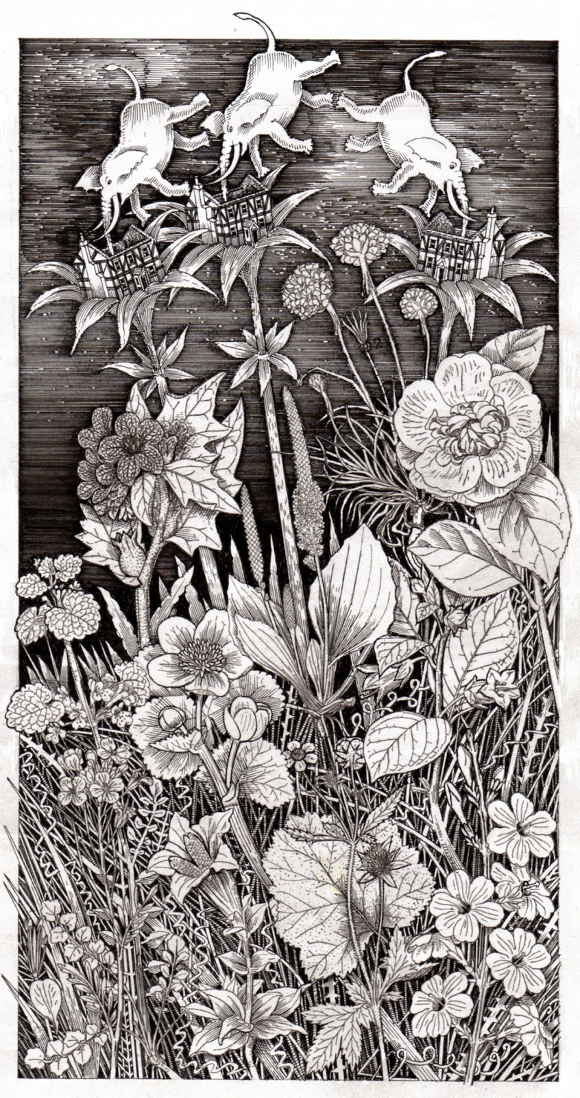 John Vernon Lord: Looking-Glass Insects