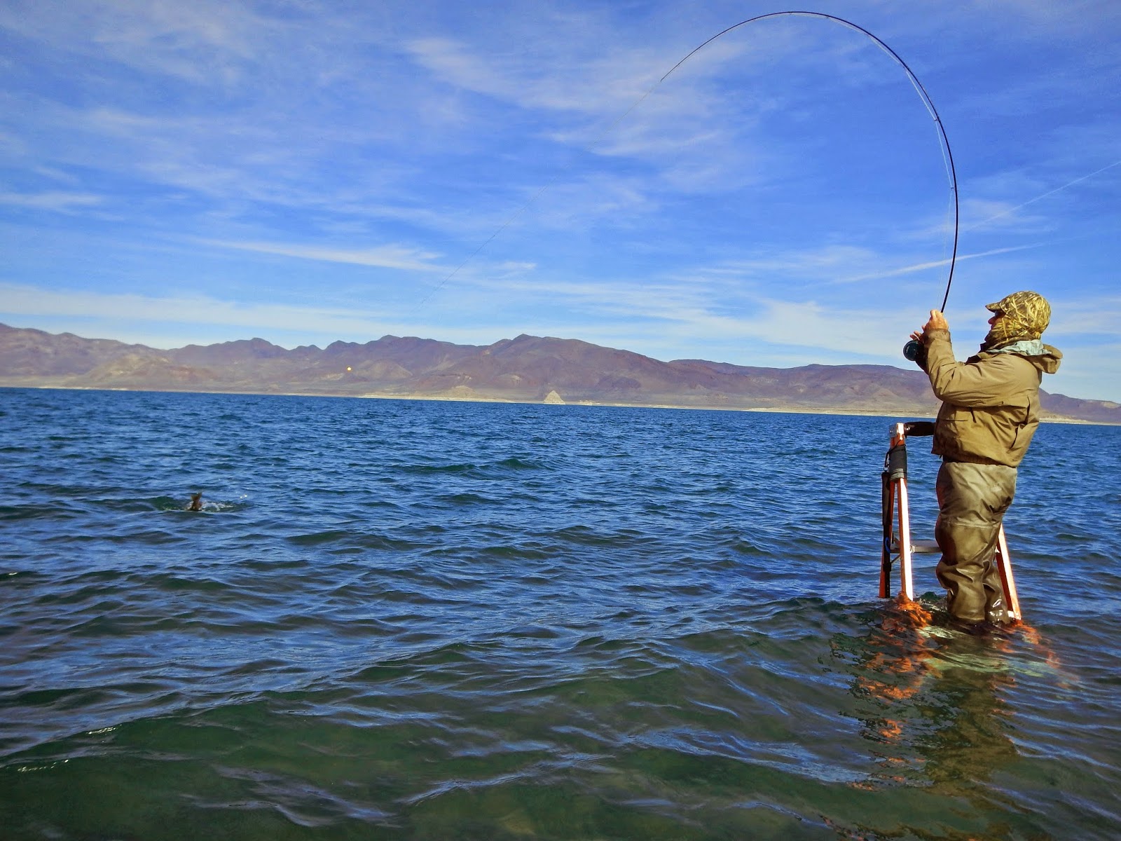 Jon Baiocchi Fly Fishing News: Spring Madness at Pyramid Lake
