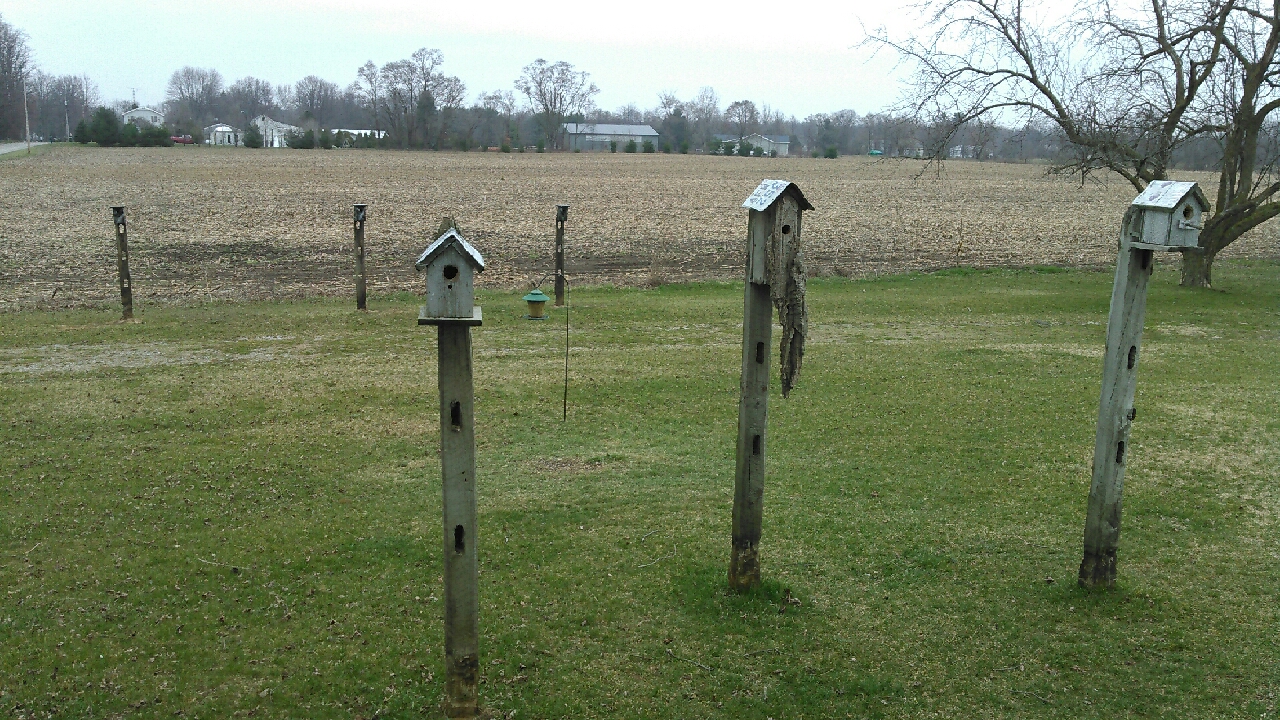 Rachel Dickson's Artwork, Outdoor Adventures and Musings: Realtime ...