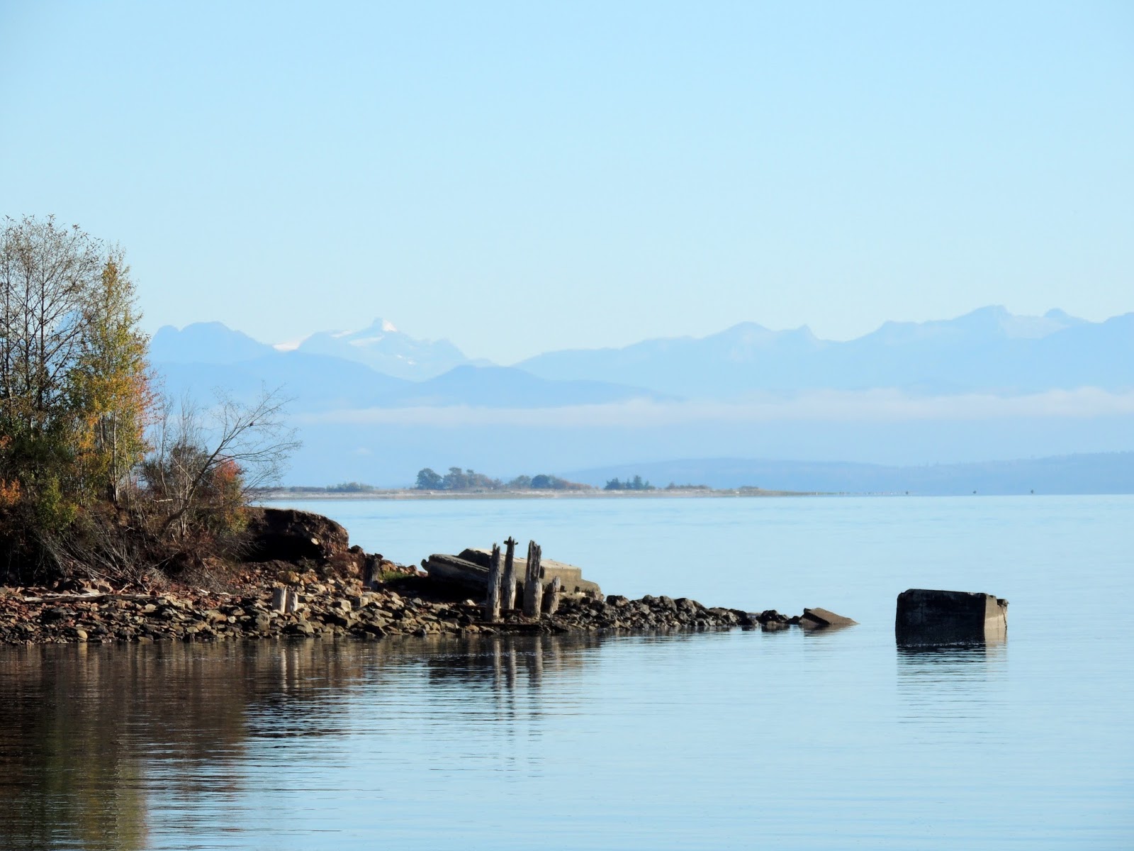 Travels Here and Abroad: Union Bay