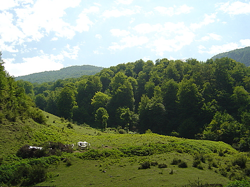 Welcome To Pakistan: Ziarat valley