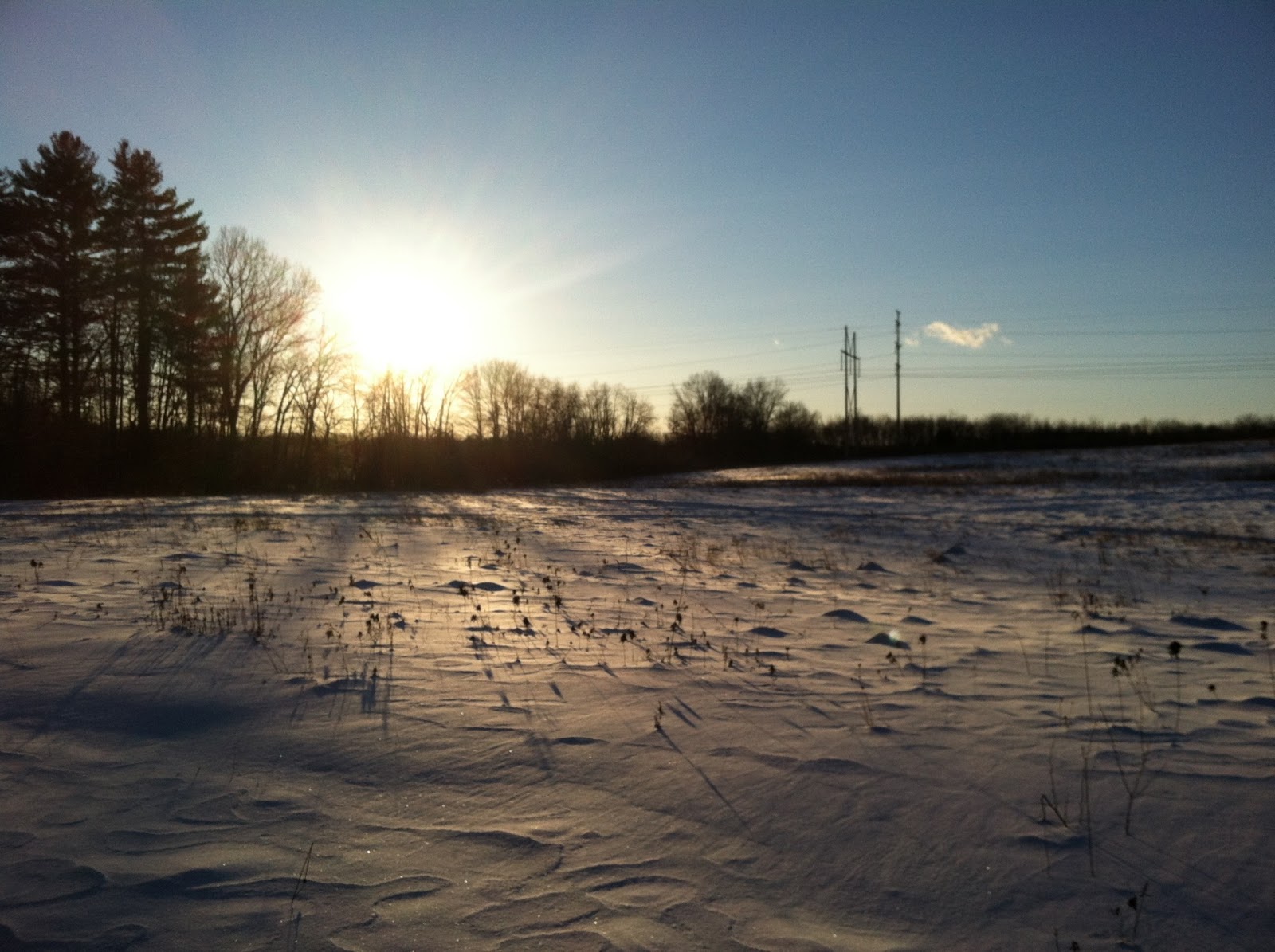 Wilbraham's White Cedar Swamp: Three Seasons of Fun in the White Cedar ...