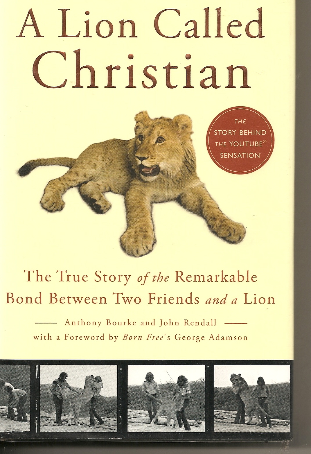 Cozy in Texas: A Lion Called Christian by Anthony Bourke and John Rendall