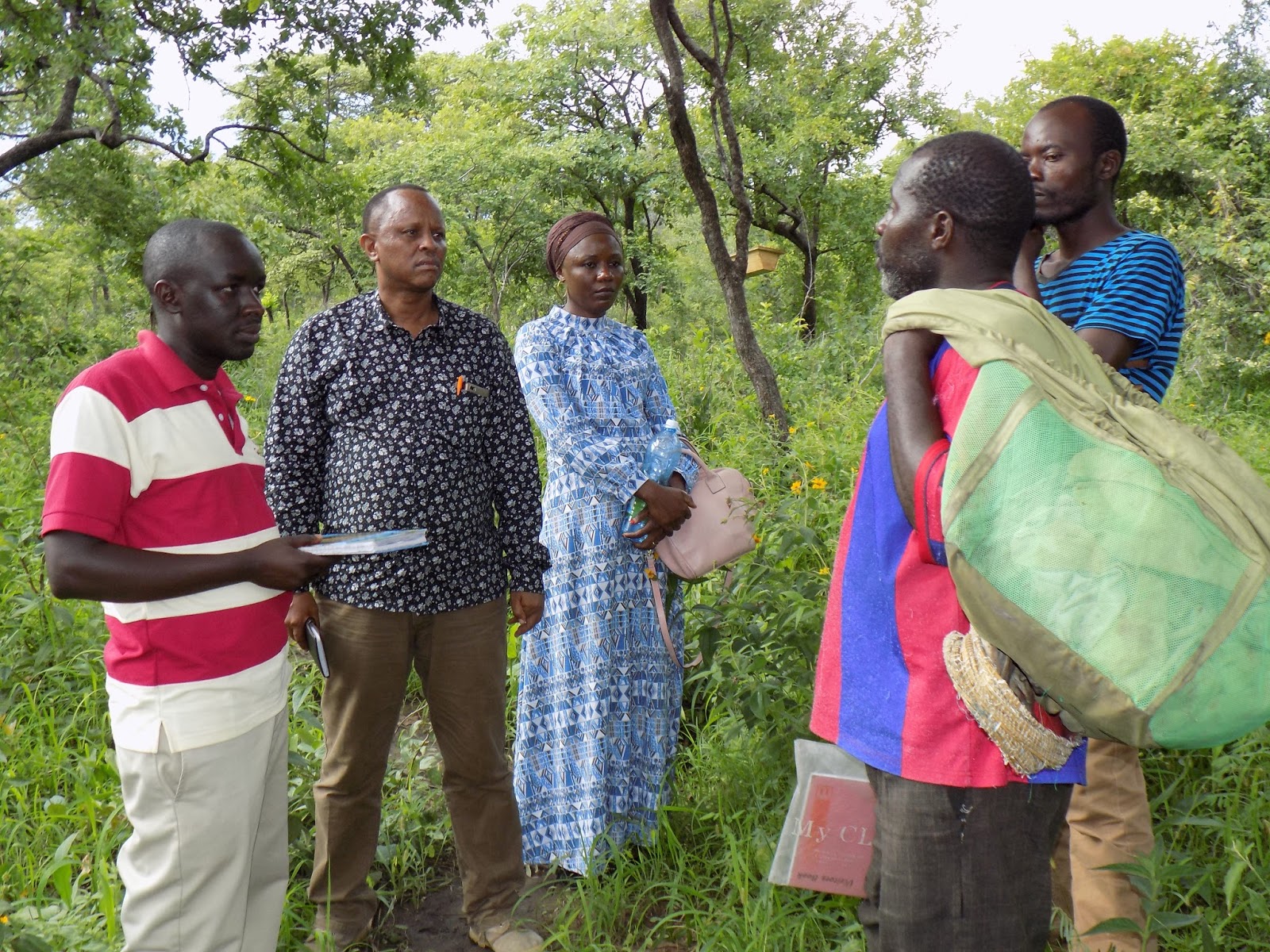SONGWE SHINDANI: MKUU WA WILAYA YA SONGWE AKAGUA MRADI WA NYUKI MBANGALA