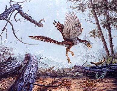 AGATHAUMAS: Archaeopteryx lithographica 1861-2011