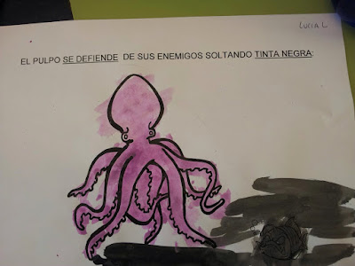 BLOG DE 5 AÑOS DEL C.P.E.I.P. MENDILLORRI: PROYECTO SOBRE EL PULPO