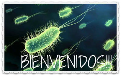 Las Arqueas: Bienvenidos!!! | El Antiguo Mundo De Las Arqueas