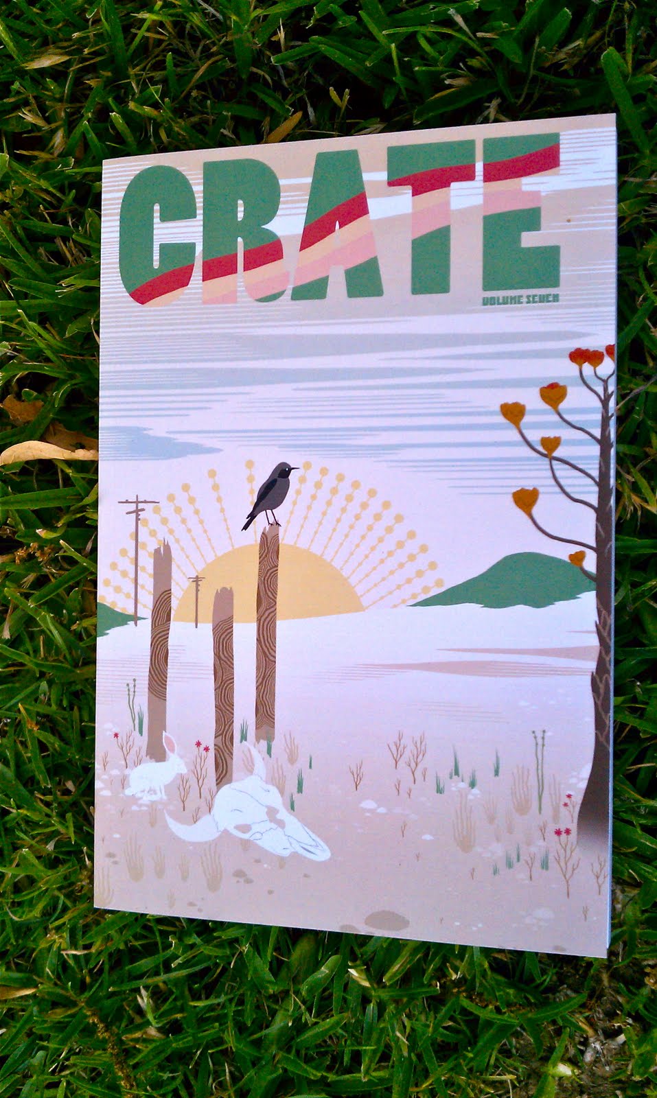 my time in the desert: June 2011