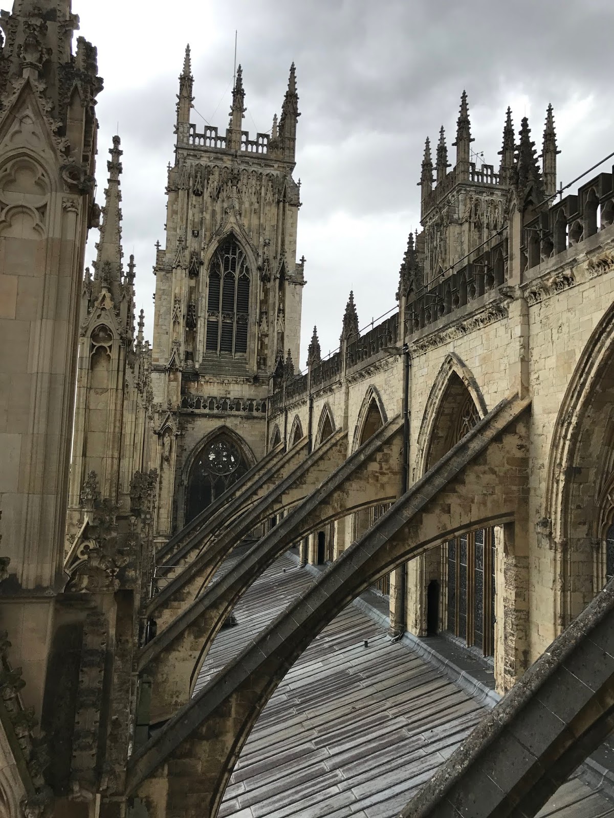 The Helpful Art Teacher: Photography 101: types of camera shots