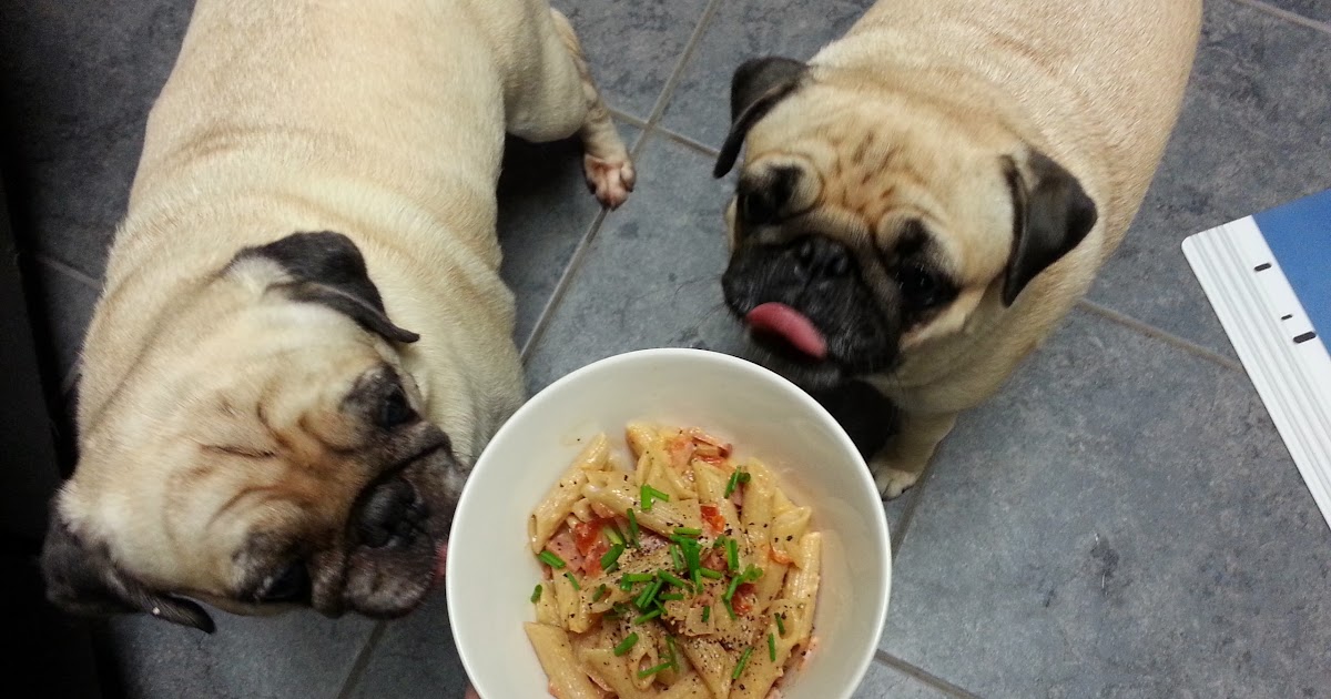 Grubbin' Pugs: Sun-dried Tomatoes, Bacon, and Goat Cheese Pasta