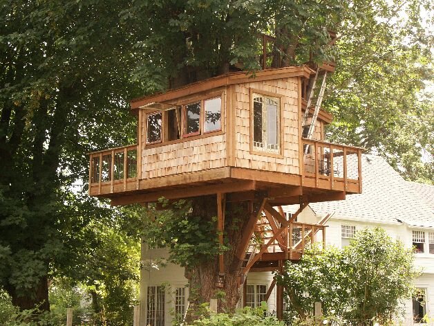 100 Tree House Design Ideas | Alexander Gruenewald