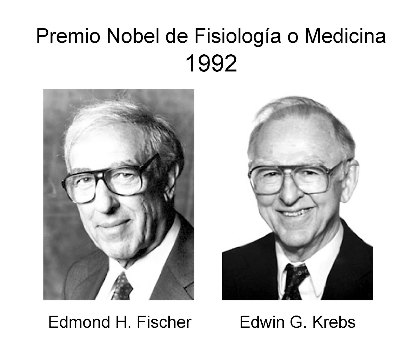 Hormonas : La herramienta celular que recibió el Premio Nobel en 1992