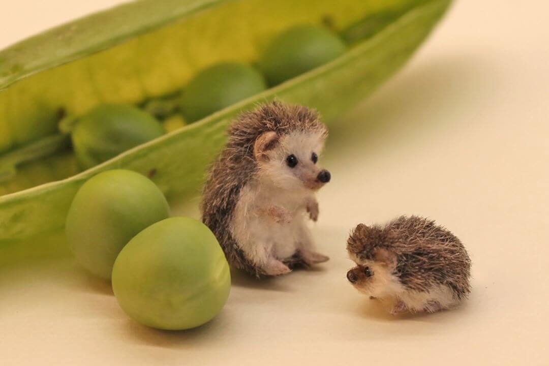 Design Stack: A Blog about Art, Design and Architecture: Hand Sculpted ...