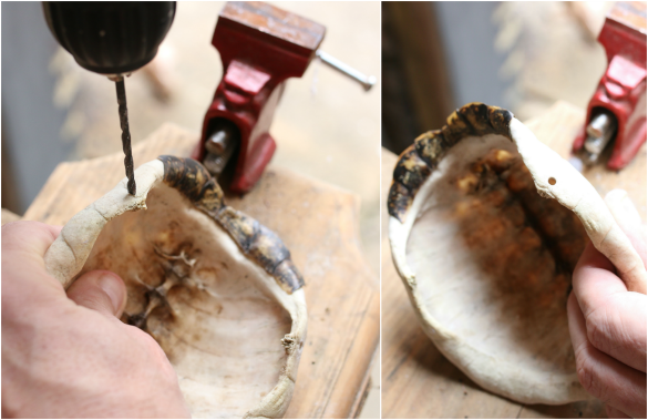 How to Wall Mount a Turtle Shell | 17 Apart