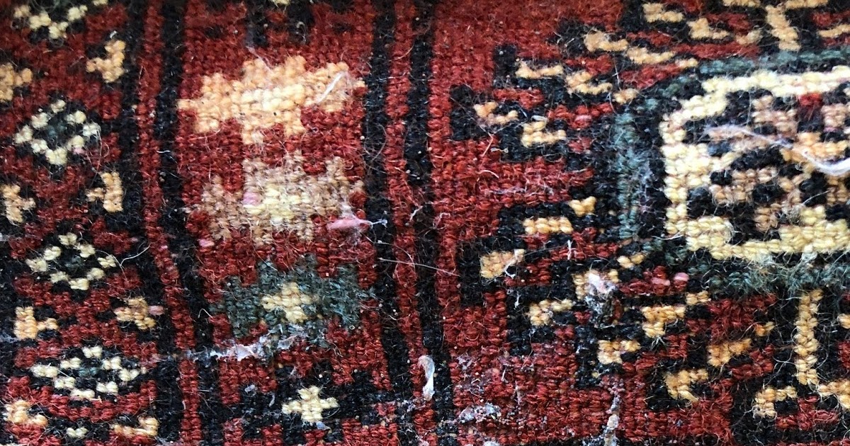 What Do Moths on a Rug Look Like?