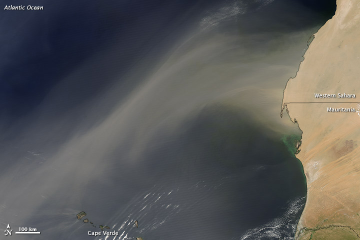 Mitch's Worldly Hazards: West African Sandstorm spreads over the Atlantic