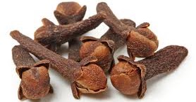 20 Macam Rempah-rempah dan Manfaat / Kegunaannya - Biologizone