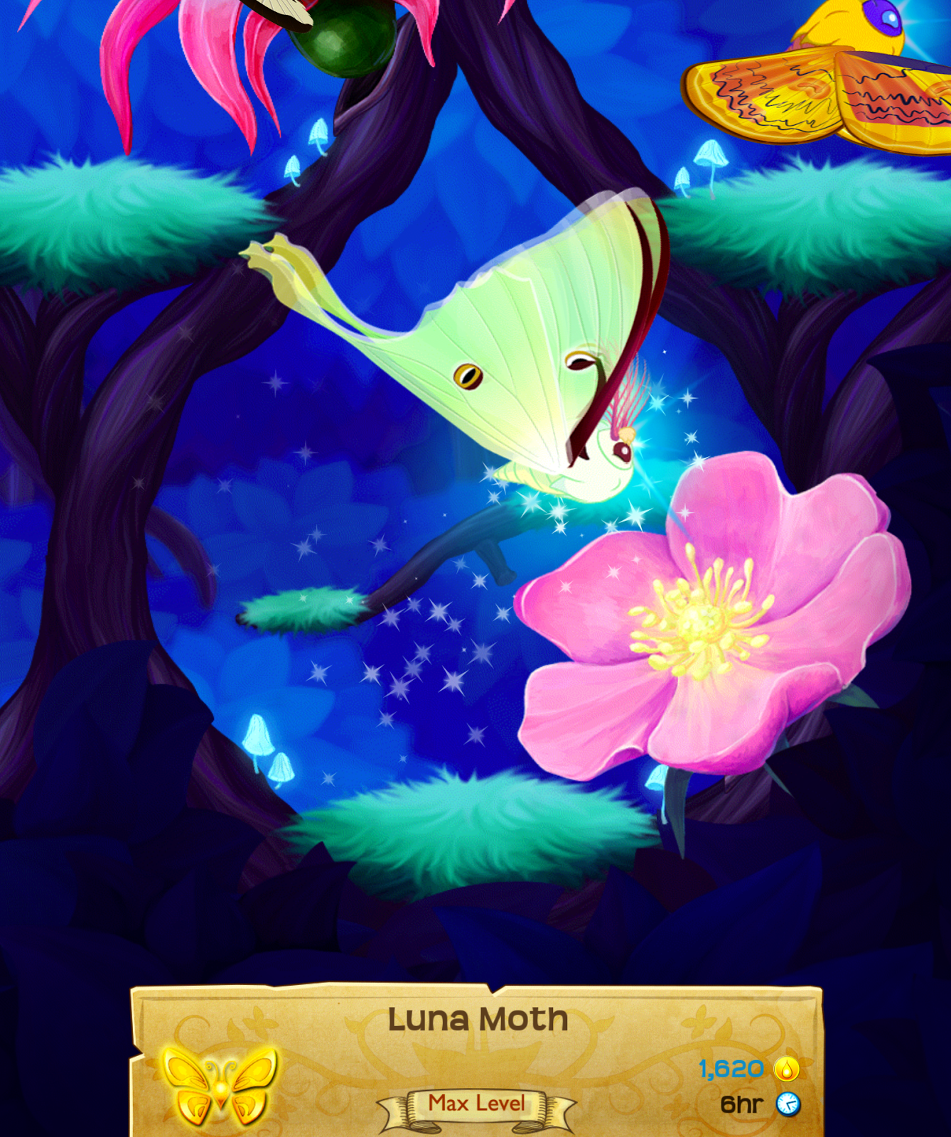 A Flutter Starlight Journey: Delux Mu Dan Peony: A Starry Ability