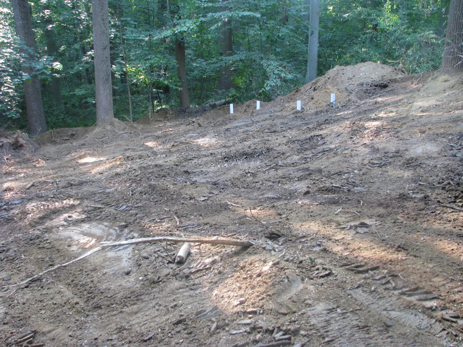 Designs by Pinky: ~~~DISASTER in the Backyard!!!~~~