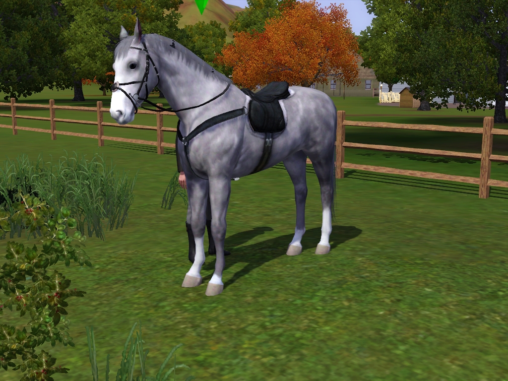 Silleren's Sims3: Horses