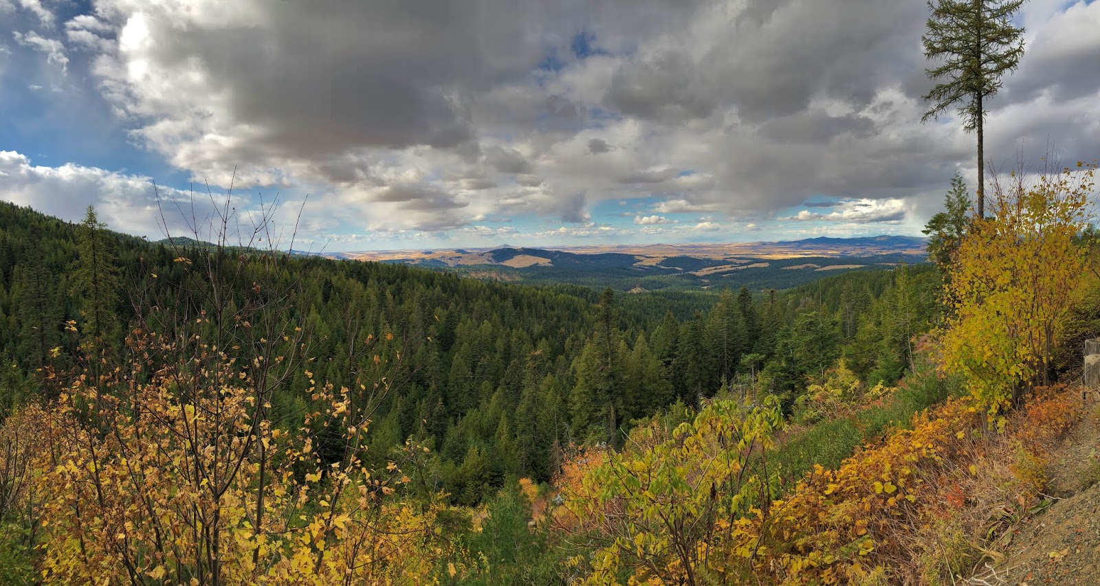 Down the Road: Time in Moscow. Idaho, not Russia.